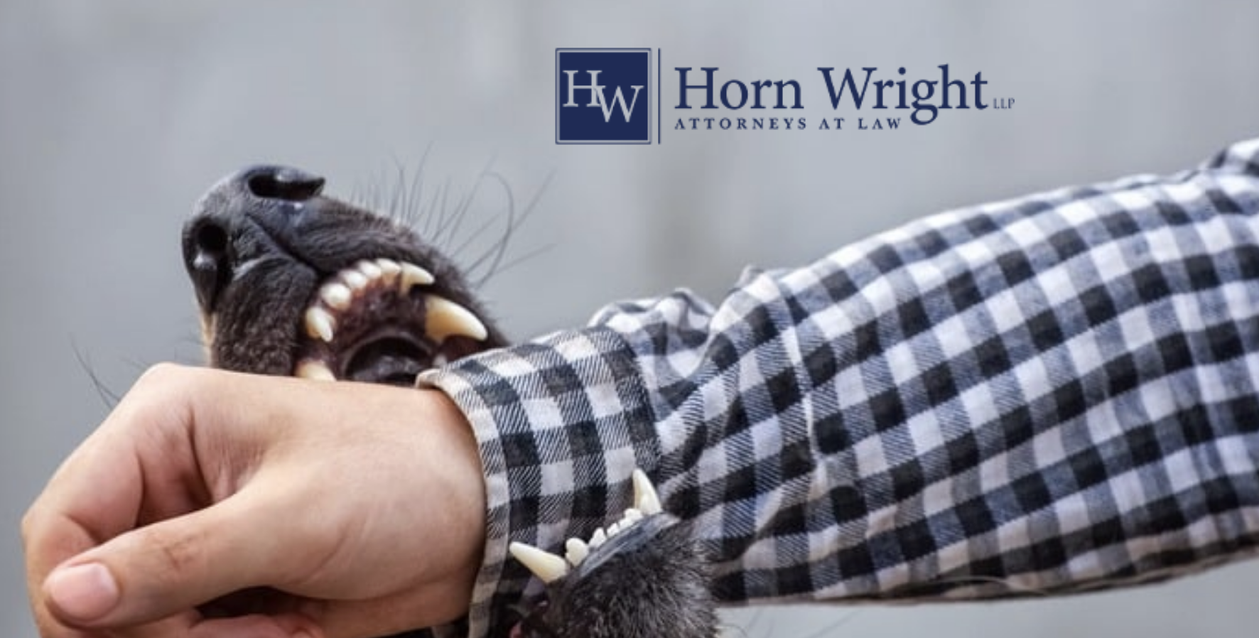 Will Homeowners Insurance Cover Dog Bites?